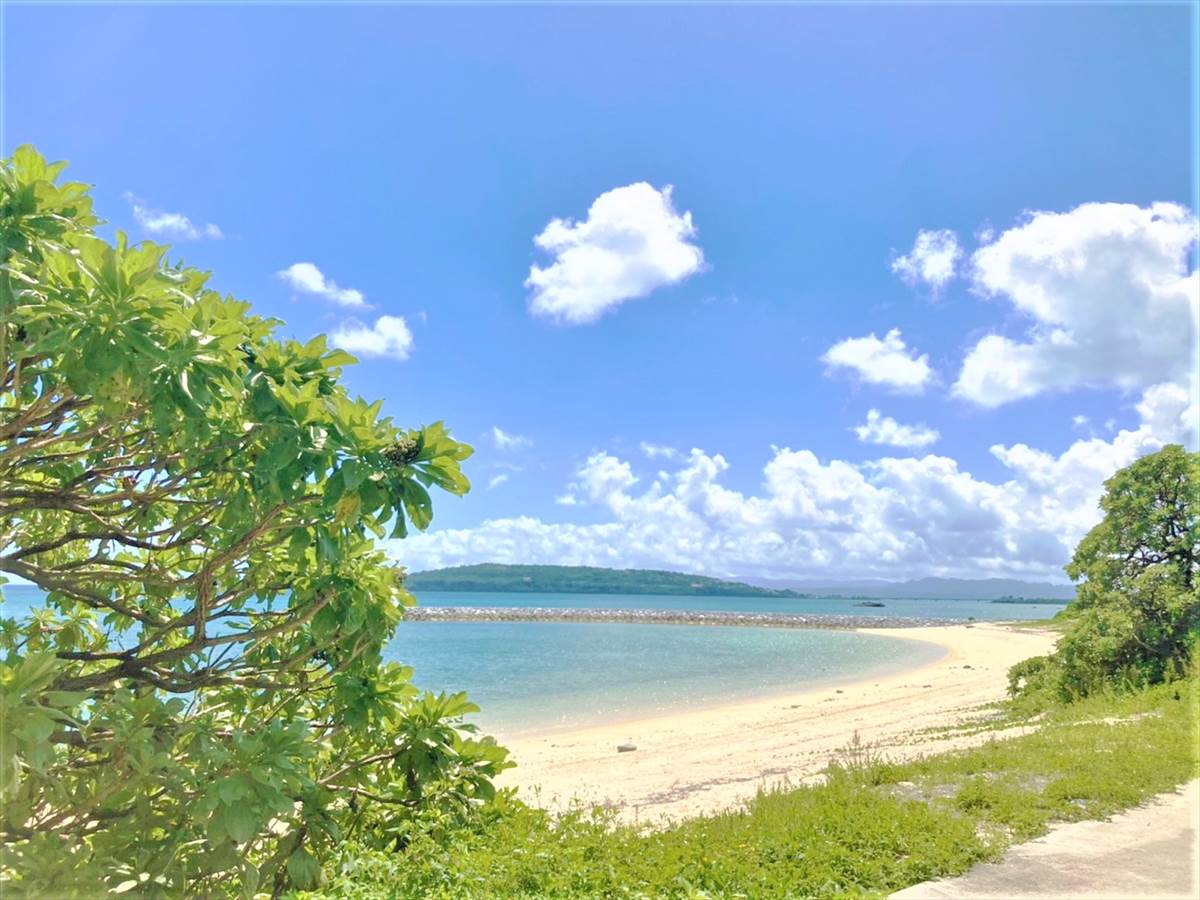 【まさに神(紙)テク】キャンプでの紙パック活用術4選 | OKITIVE